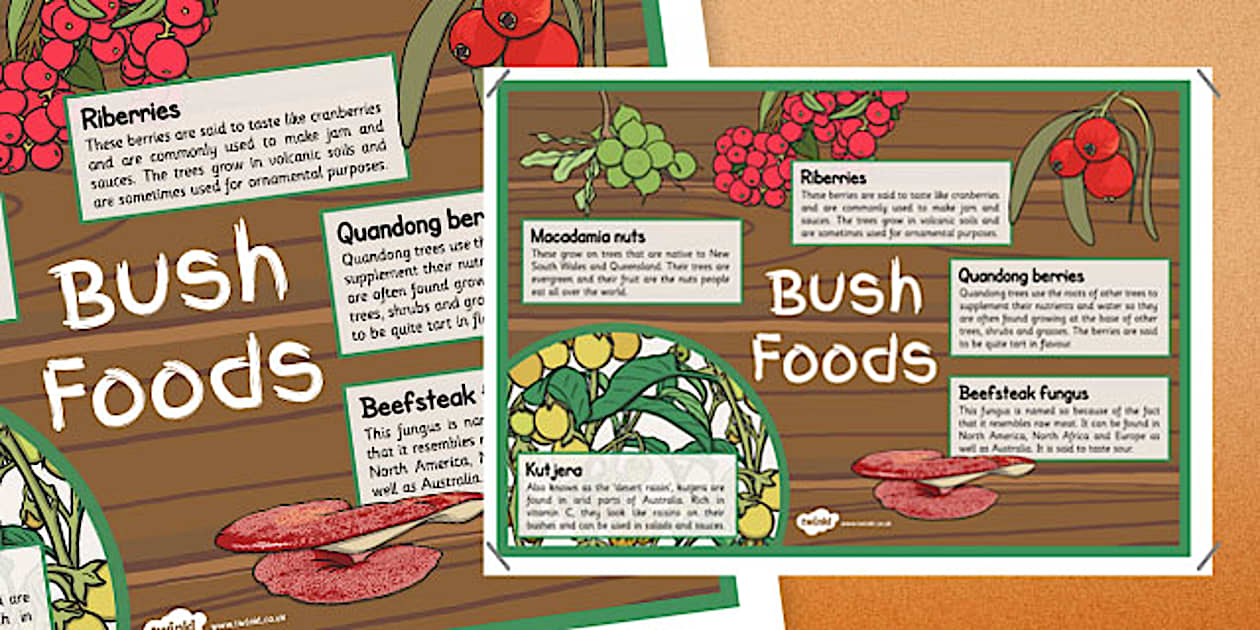 Bush Foods Information Display Poster (teacher made)