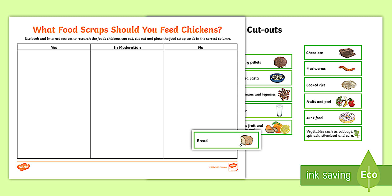 What Foods Should You Feed Chickens? Worksheet - Twinkl
