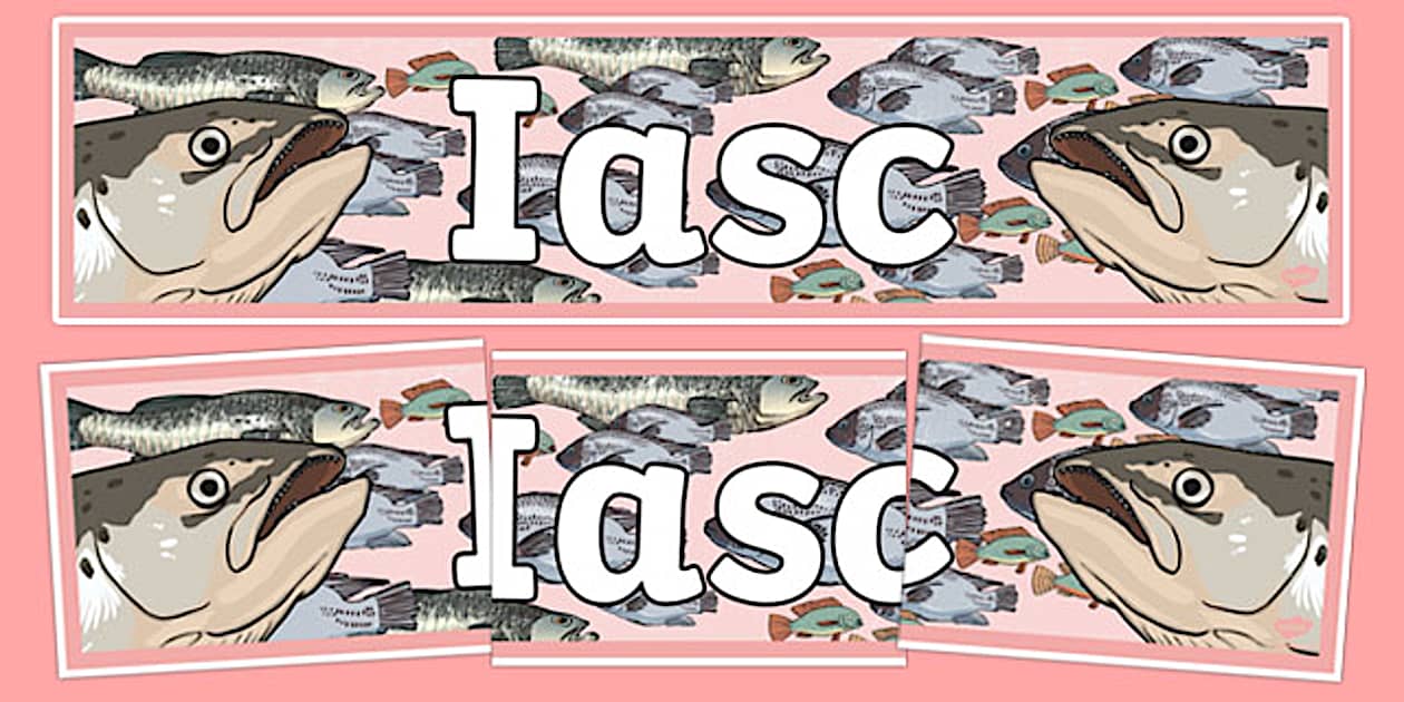 Bia Food Display Banner Iasc (teacher made) - Twinkl