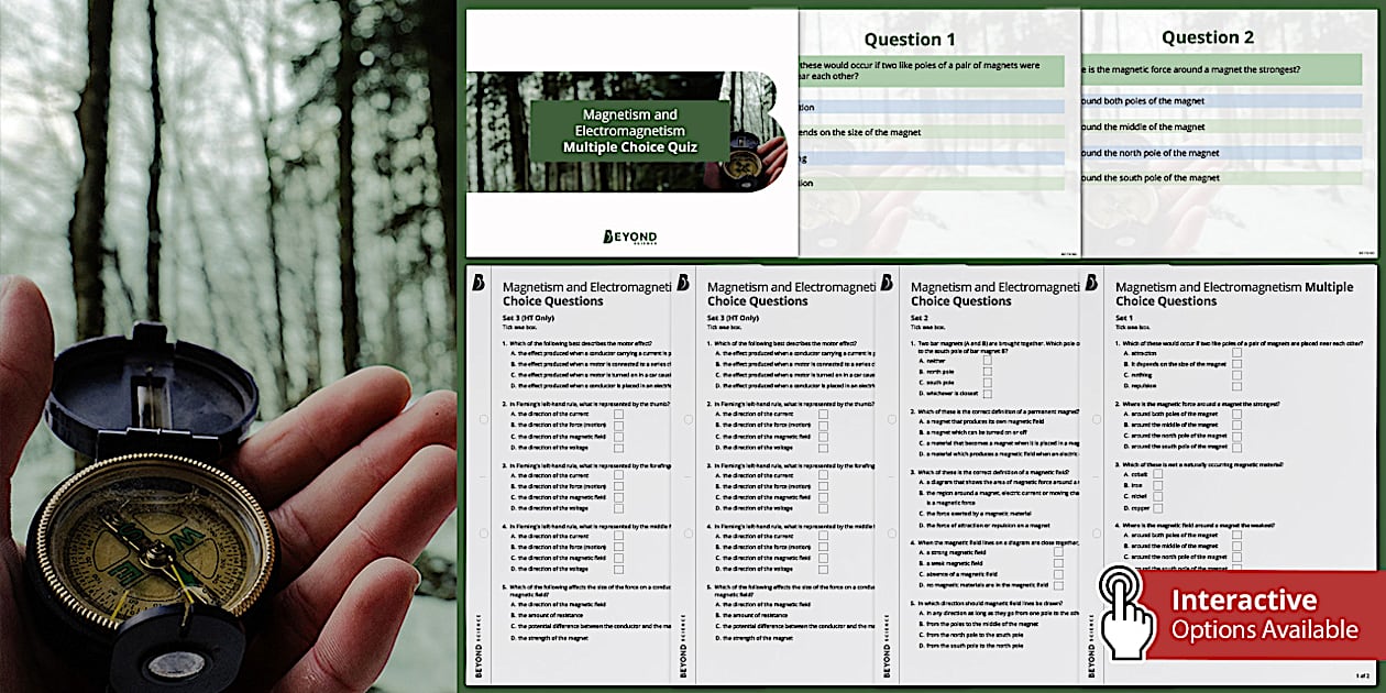 Magnetism and Electromagnetism Quiz | GCSE Physics | Beyond
