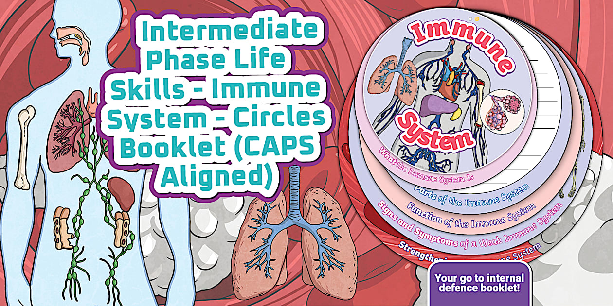 * NEW * Intermediate Phase Life Skills - Immune System - Circles ...