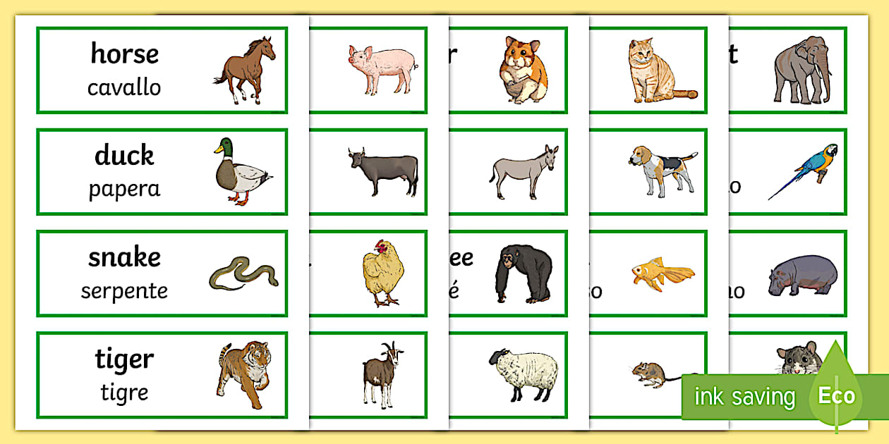 Editable Animals Word Cards English/Italian - Twinkl