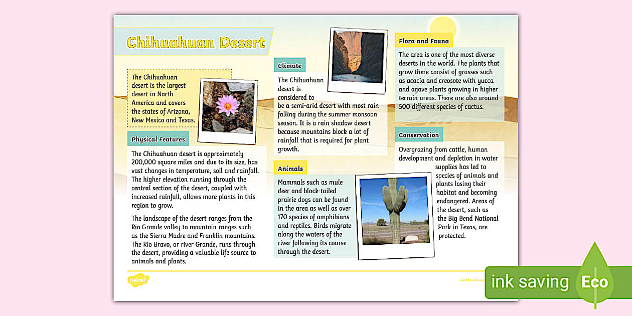 Chihuahuan Desert Fact File - Twinkl - KS2 (teacher made)