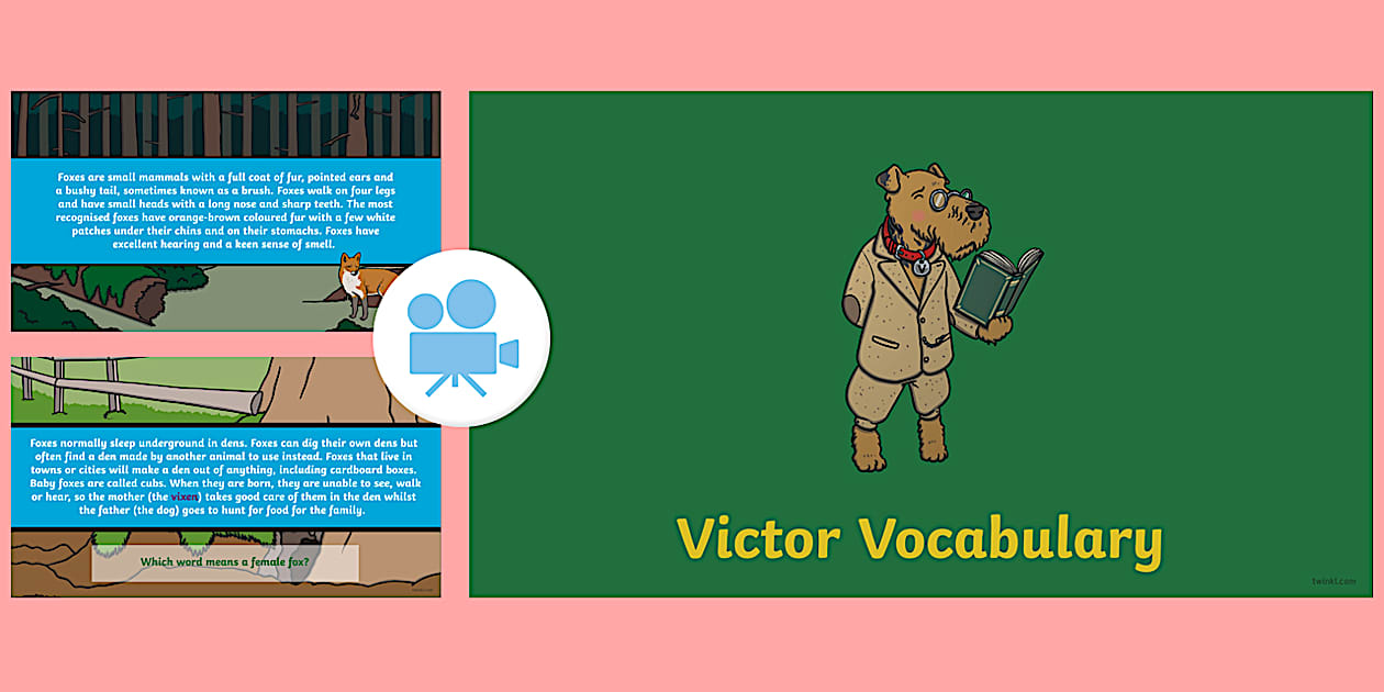 Victor Vocabulary Foxes Video (Teacher-Made) - Twinkl