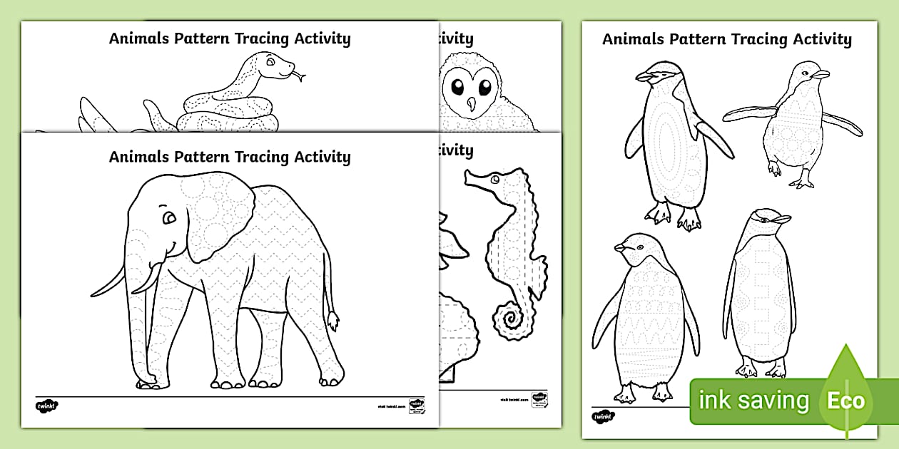 Animals Pattern Tracing Activity | Twinkl - Twinkl