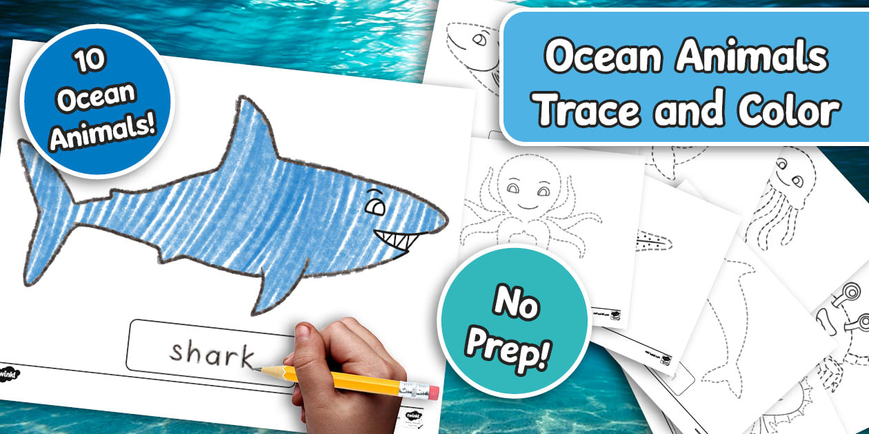 Early Childhood Ocean Animals Trace and Color Worksheets