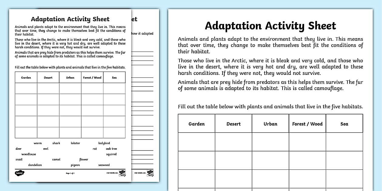 Editable Adaptation Worksheet (teacher made) - Twinkl