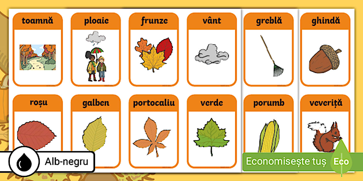 Cuvinte de toamnă - Cartonașe cu vocabular - Twinkl