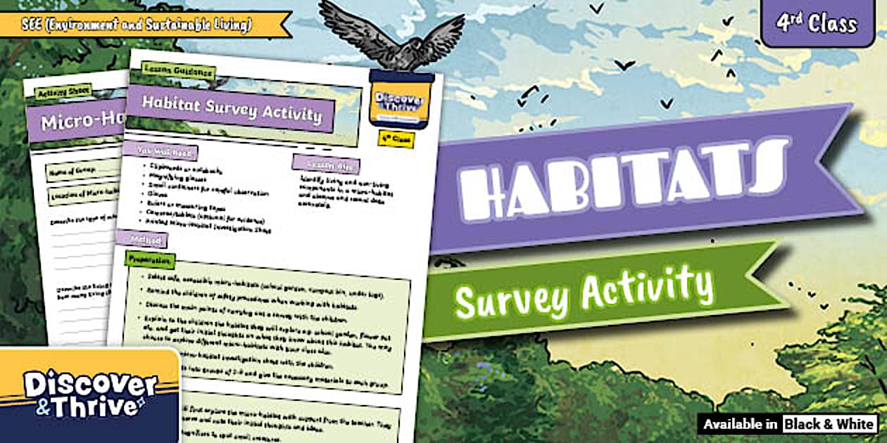 SEE Habitats Survey Activity 4th Class