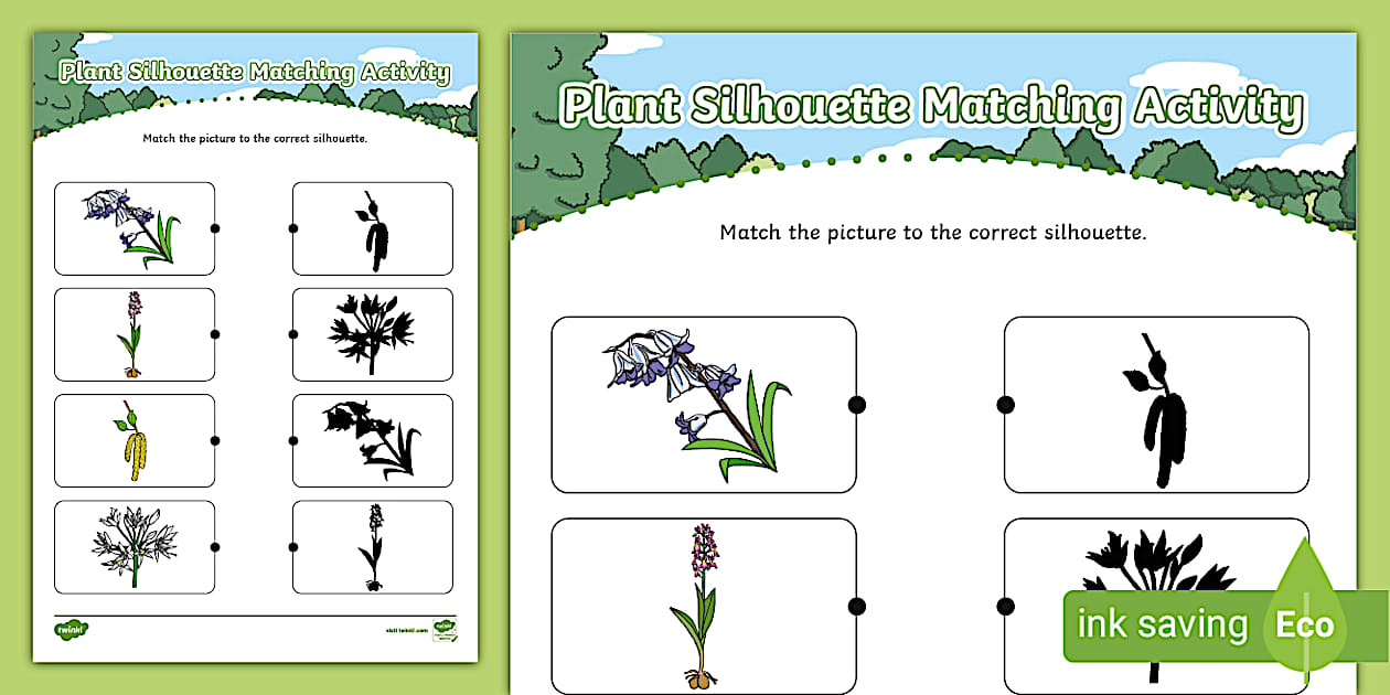 Plant Silhouette Matching Activity (teacher made) - Twinkl