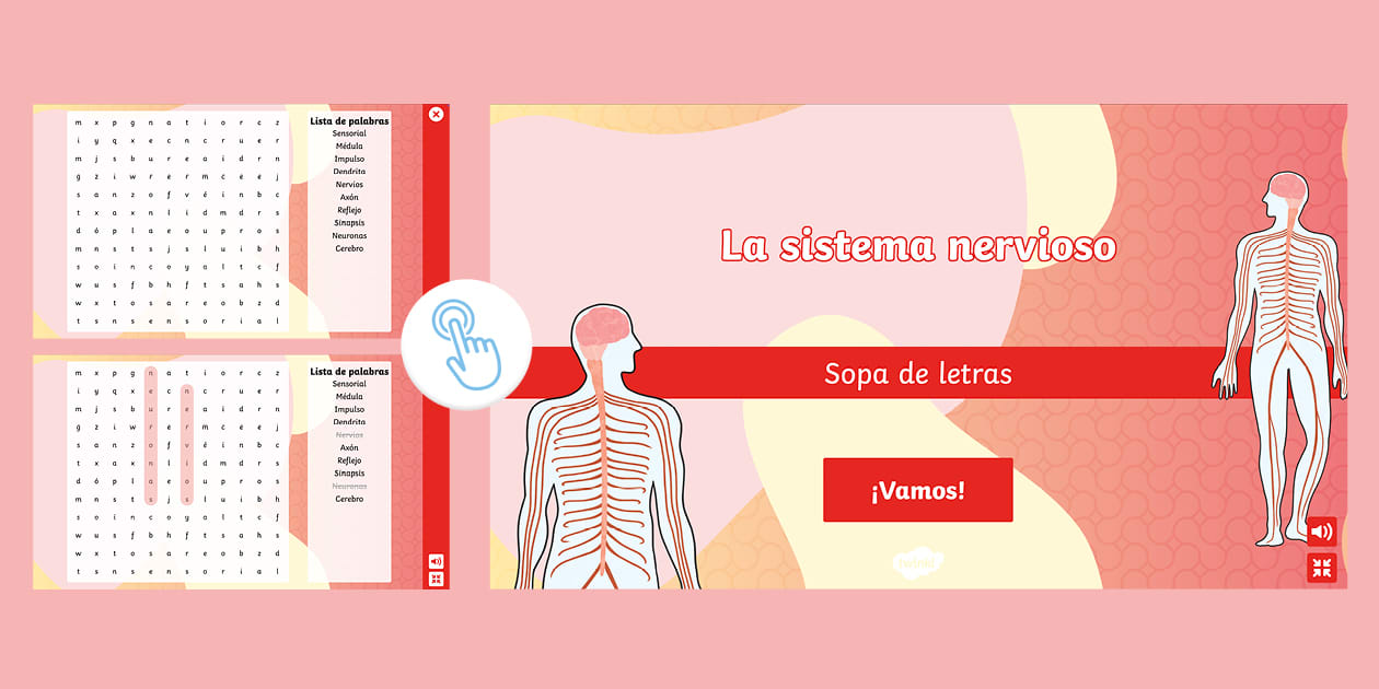 Sopa de letras interactiva: La sistema nervioso - Twinkl