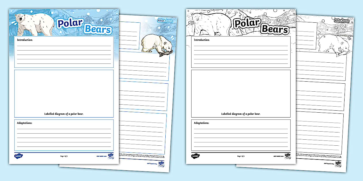 Polar Bears Non-Chronological Report Template - Twinkl