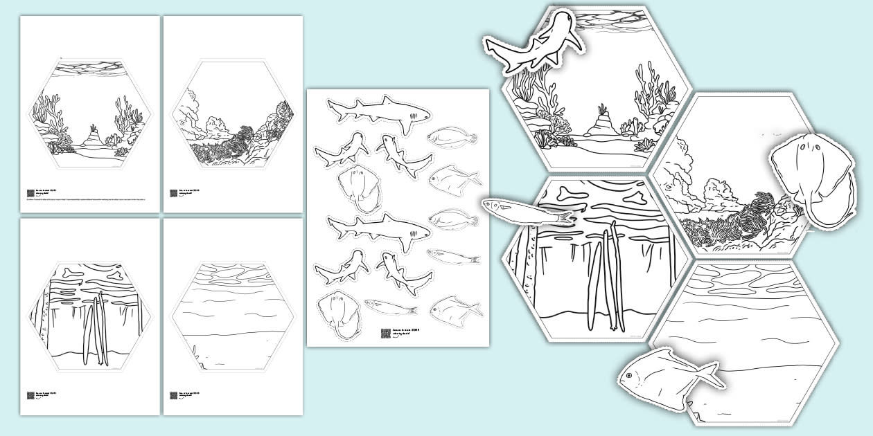 Fish Hexagon Display Colouring Activity - Twinkl