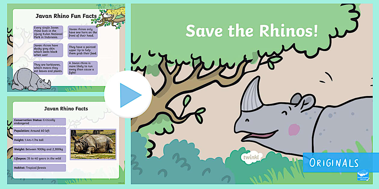 Save The Rhinos Persuasive Writing PowerPoint (teacher made)