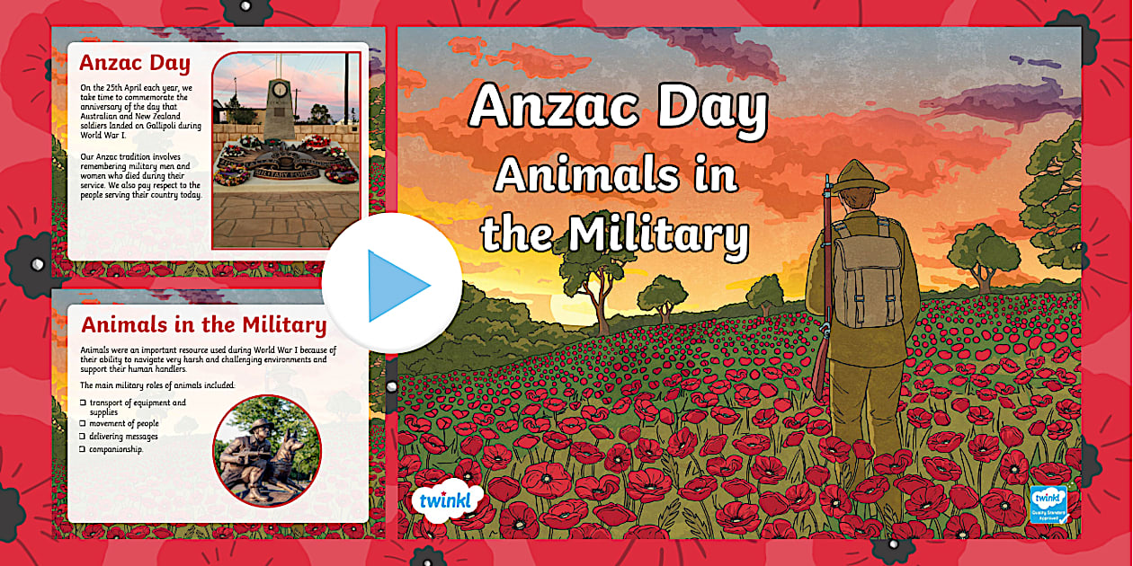 Anzac Day - Animals in the Military PowerPoint Years 5-6