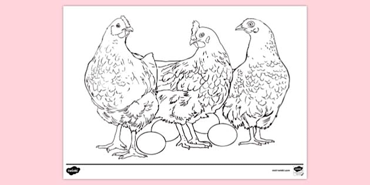 Hen Laying Egg Colouring Sheet - Primary School - Twinkl