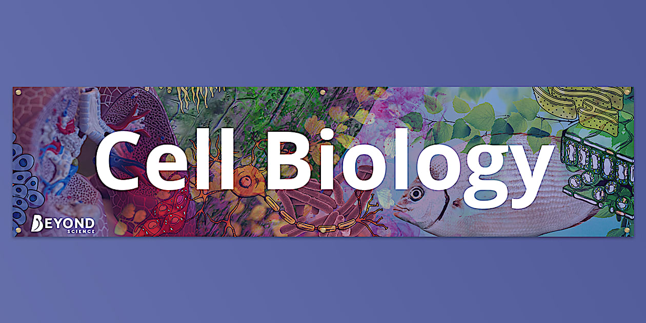 Cell Biology Display Banner | Science | Beyond - Twinkl