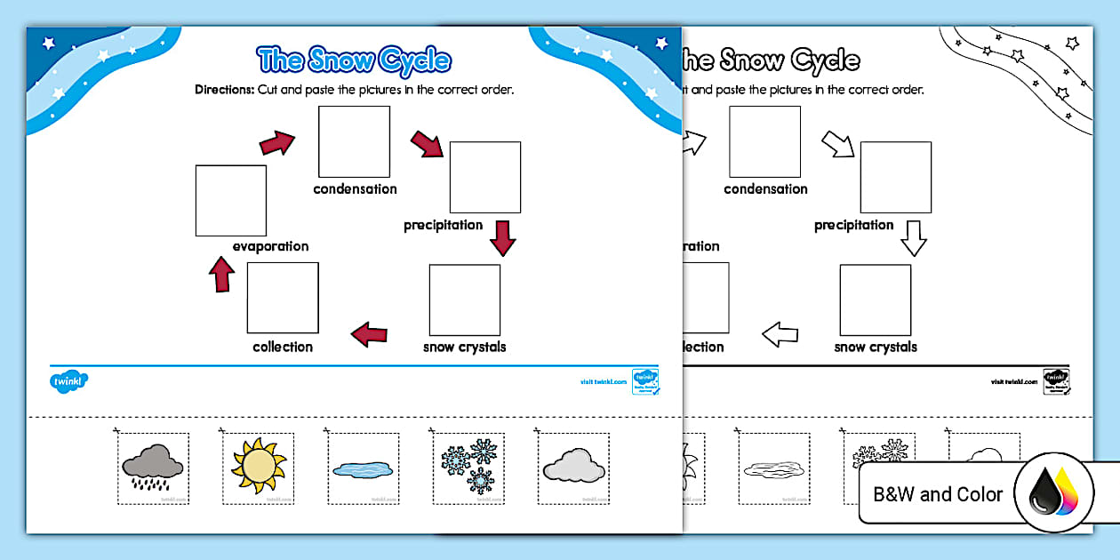 The Snow Cycle Cut and Paste Worksheet (teacher made)