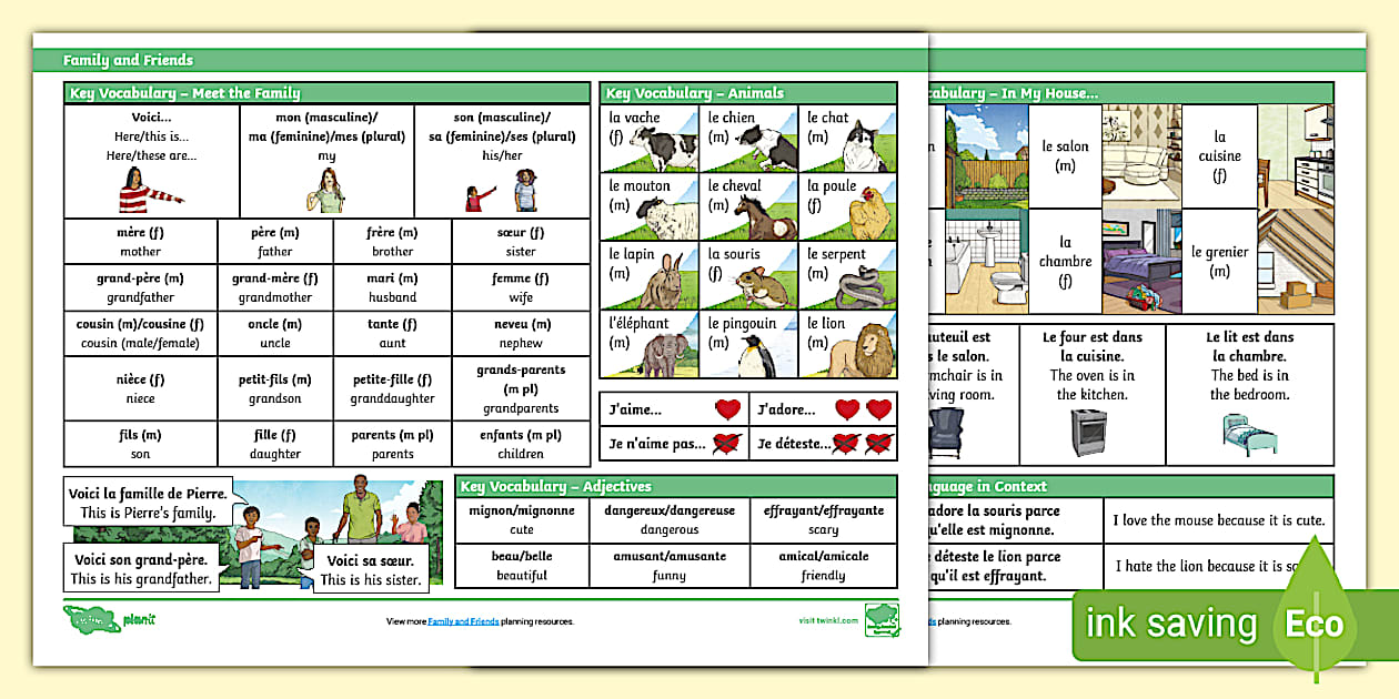 👉 French Knowledge Organiser: Family and Friends Year 5