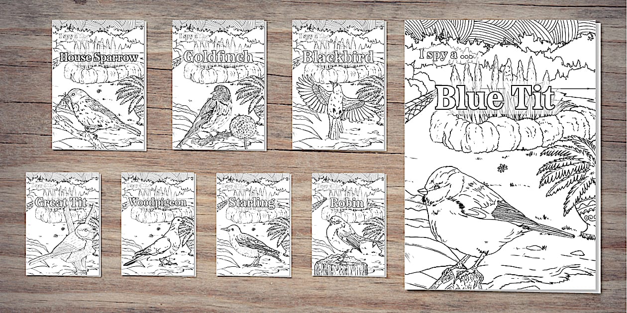 British Garden Birds Colouring Card Set | Twinkl Party
