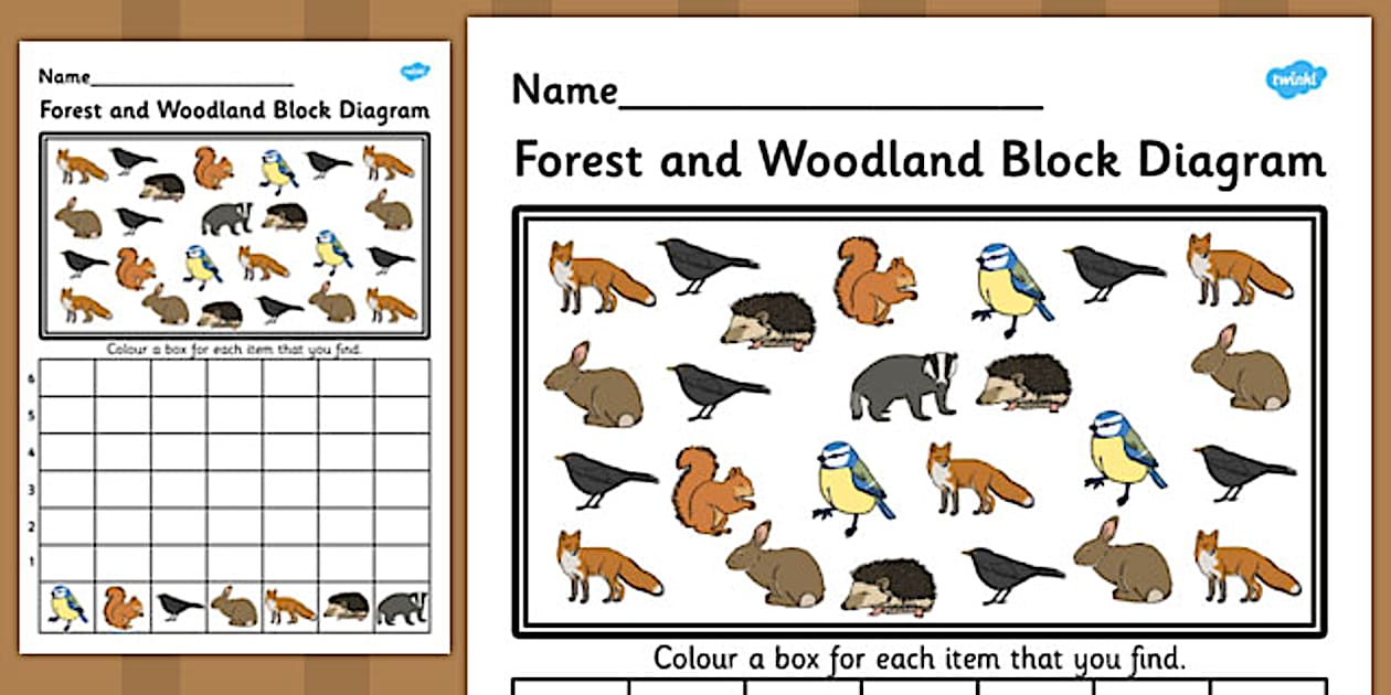 Black and White Forest and Woodland Block Diagram Activity Worksheet