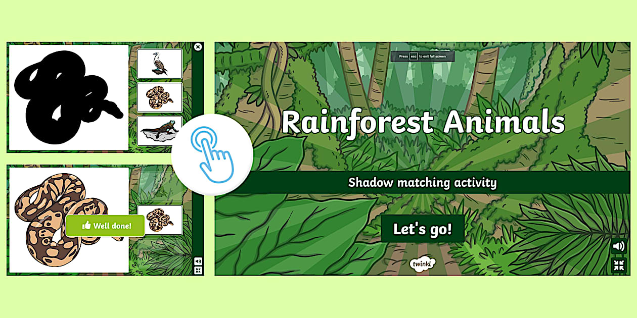 Rainforest Animals Interactive Shadow Matching Game - Twinkl