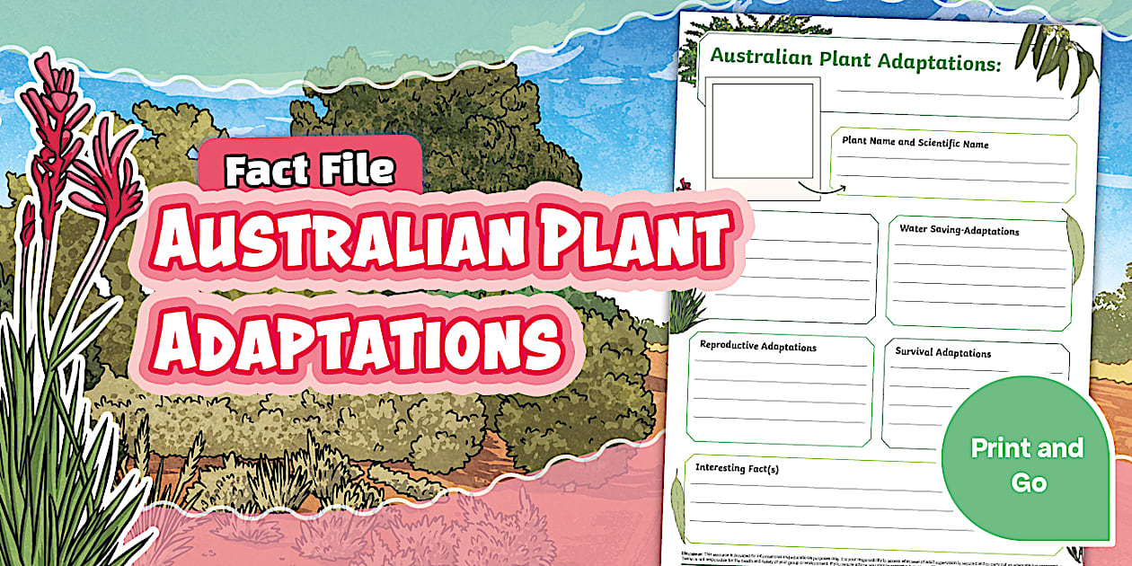 * NEW * Australian Plant Adaptations Fact File - Twinkl Science
