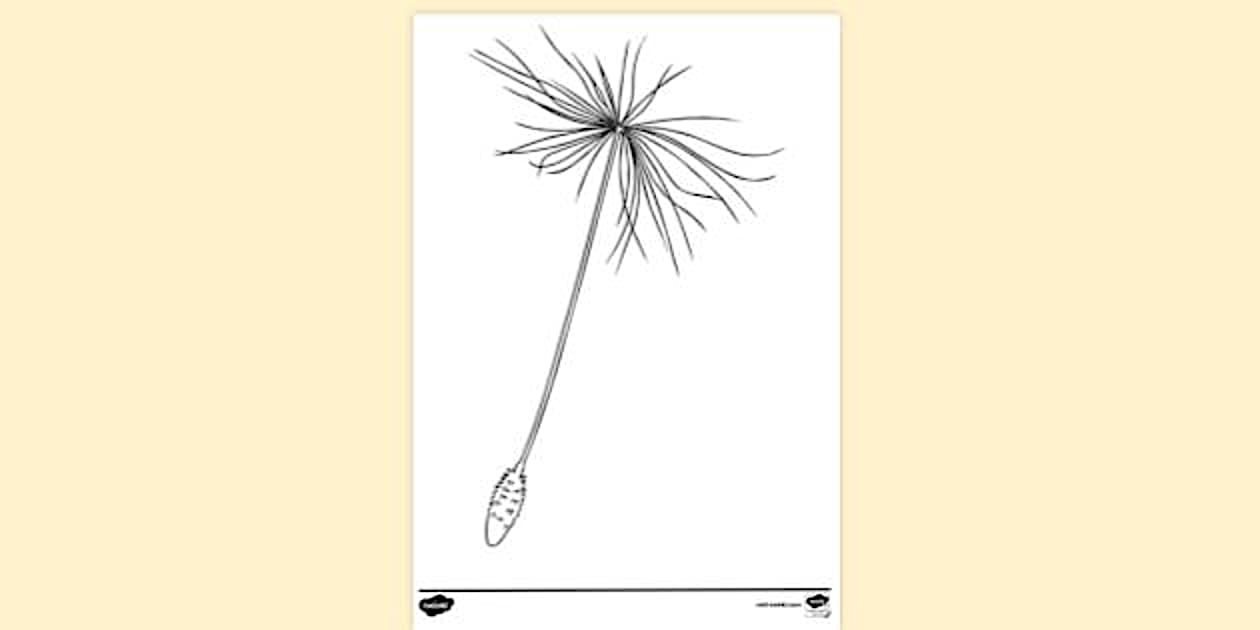Dandelion Seed Colouring | Colouring Sheets - Twinkl