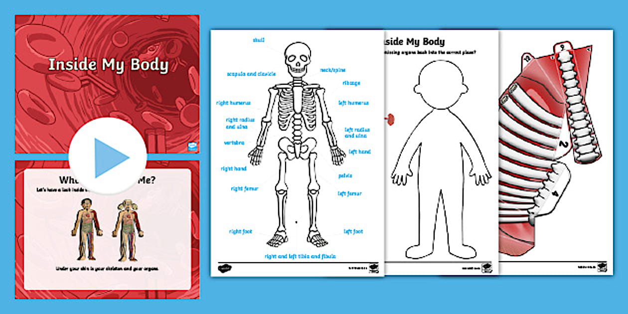 Grade 1 LS - Activity Pack: My Body Bumper Pack(CAPS Aligned)