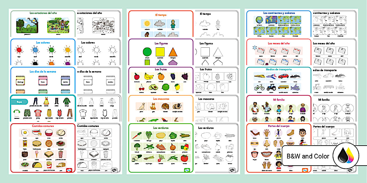 Vocabulario Basico En Español Twinkl Usa Teacher Made