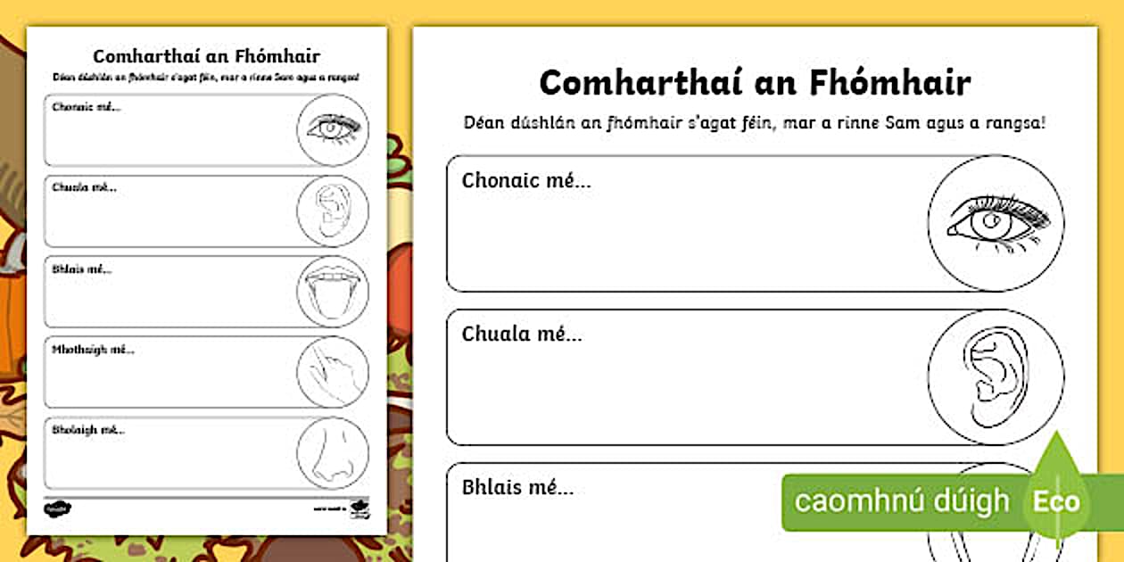 Autumn activity sheets | Twinkl