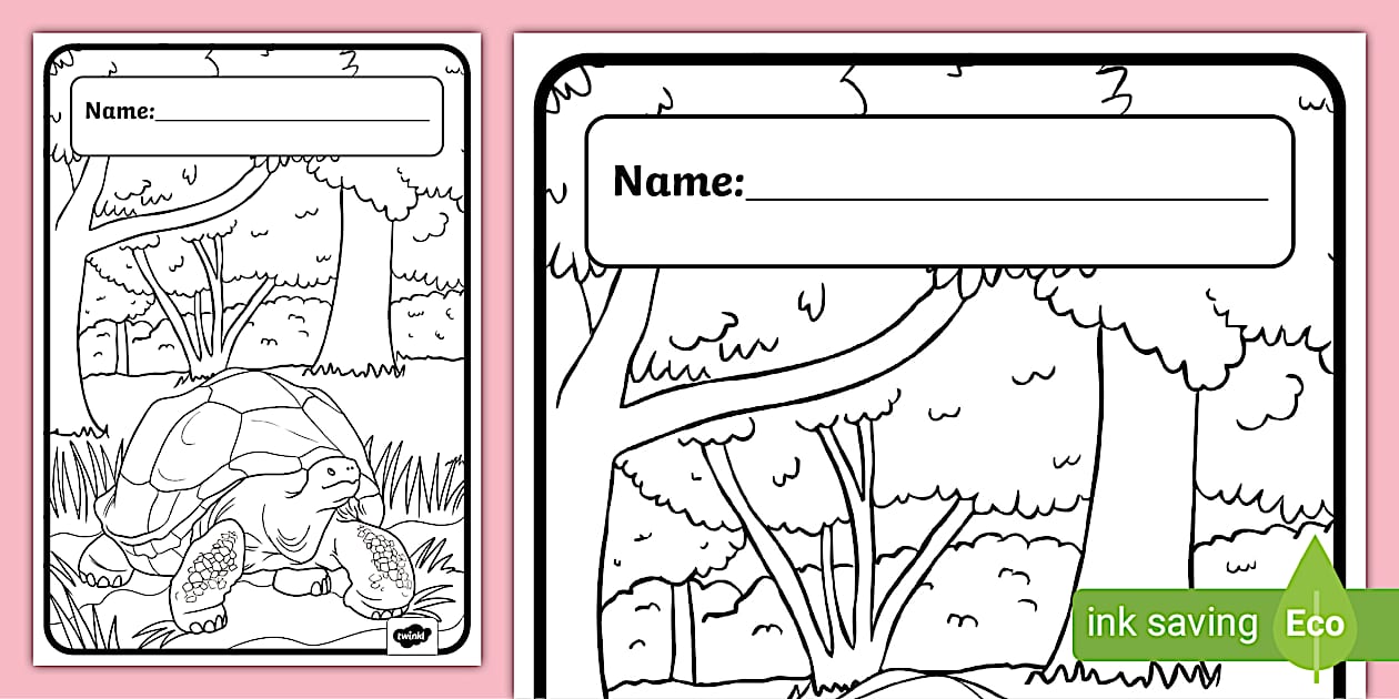 Tortoise Colouring Book Cover (teacher made) - Twinkl