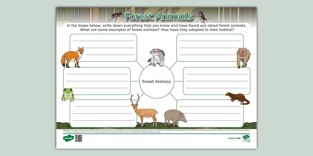 Forest Animals Mind Map - Twinkl Japan (teacher made)