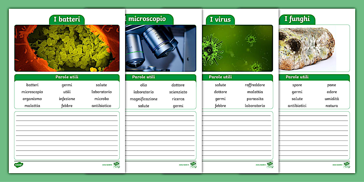 Virus, batteri e funghi - Collezione di attività con foto