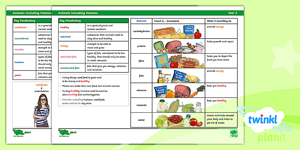 Science Knowledge Organiser: Animals Including Humans Ages 7-8