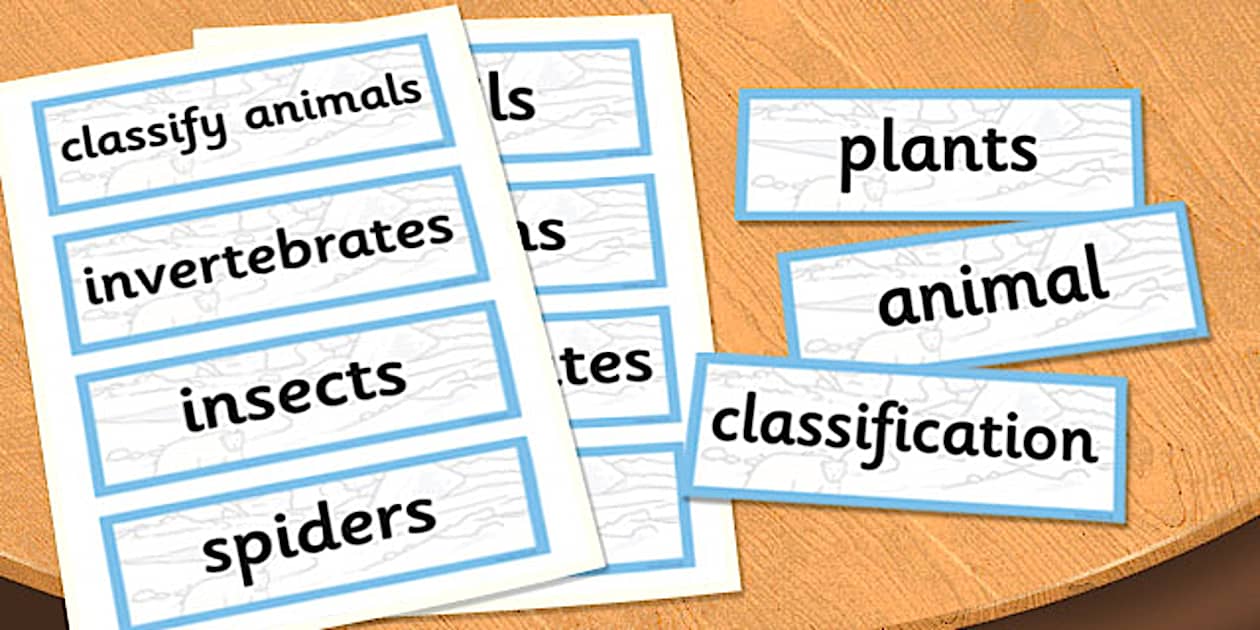 Y6 Living Things and their Habitats Scientific Vocabulary Cards