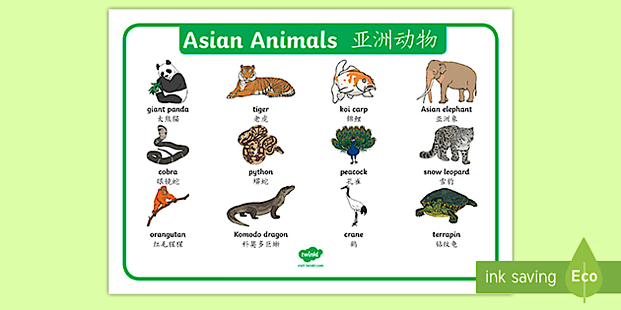 Asian Animals Word Mat - English/Mandarin Chinese - Twinkl