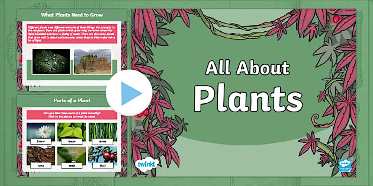 All About Plants KS2 PowerPoint | Twinkl Originals - Twinkl