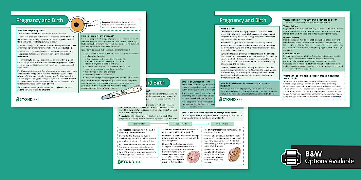 Pregnancy and Birth Fact Sheets (Teacher-Made) - Twinkl