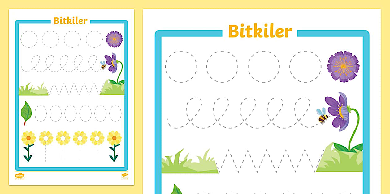 Bitkiler Temalı Çizgi Çalışması (Teacher-Made)