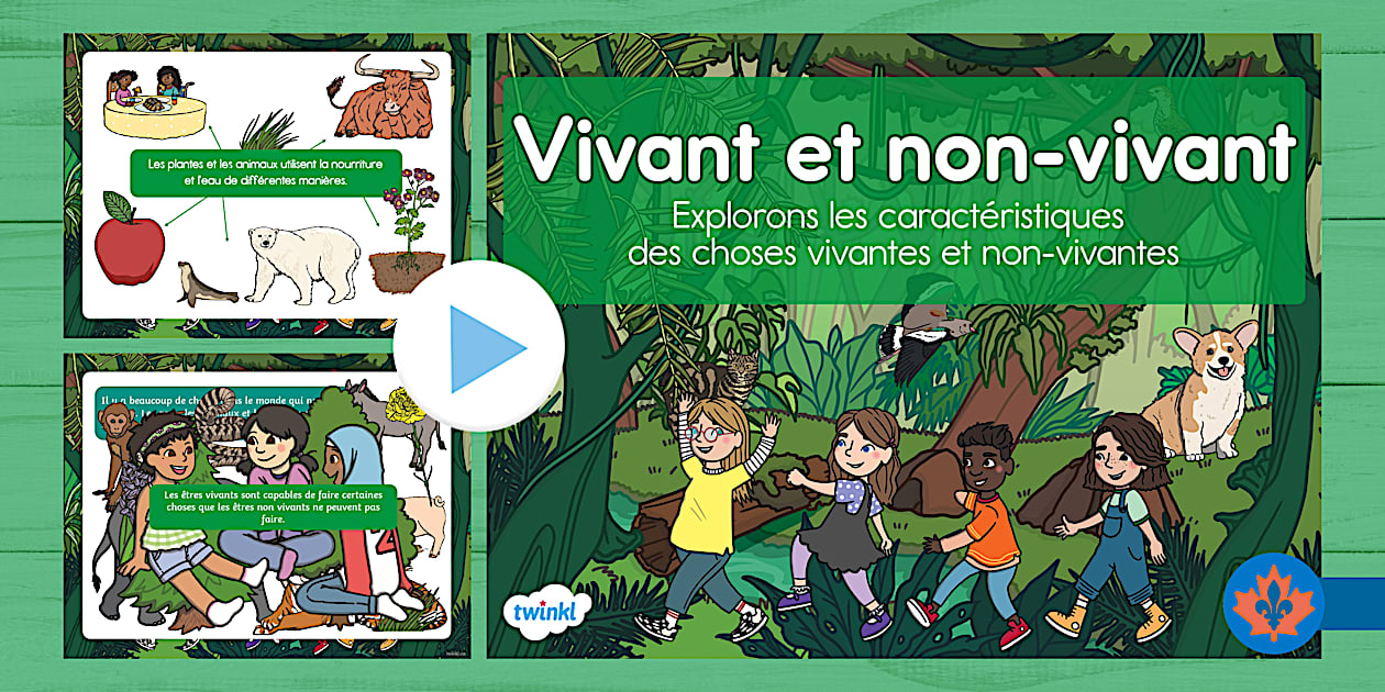 Living and Non-Living Things PowerPoint French - Twinkl
