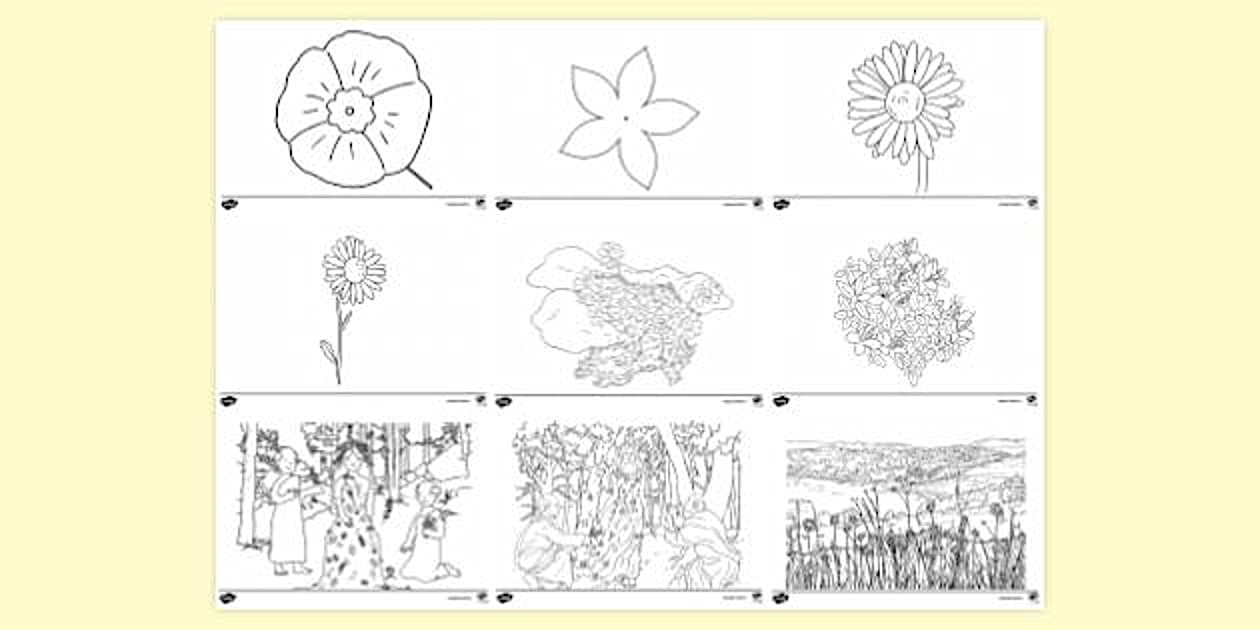 Desene de colorat cu flori - Ciclul Primar - România