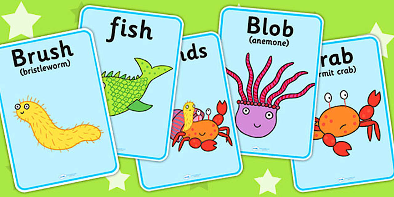 Cursive Display Posters to Support Teaching on Sharing a Shell