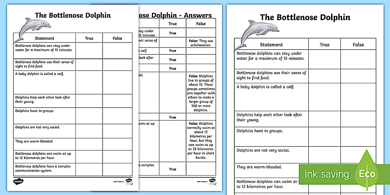 Bottlenose Dolphins Facts True or False Worksheet - Twinkl