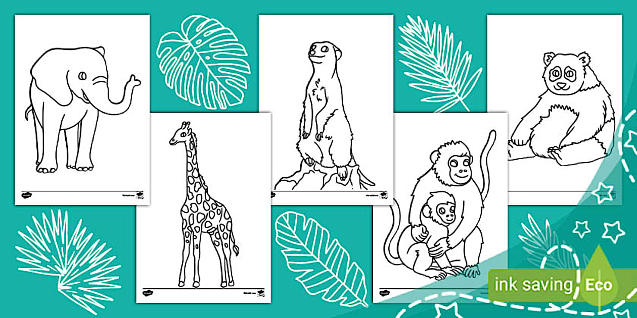 My First Zoo Colouring Pack (teacher made) - Twinkl