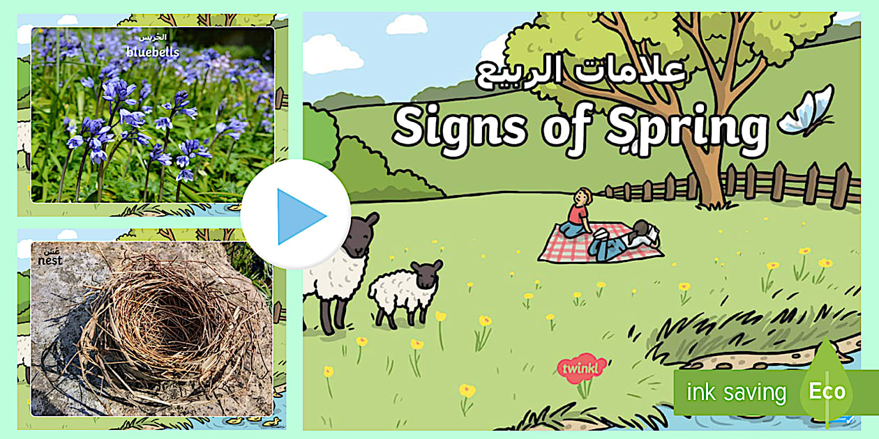Signs of Springtime PowerPoint Arabic/English - Twinkl