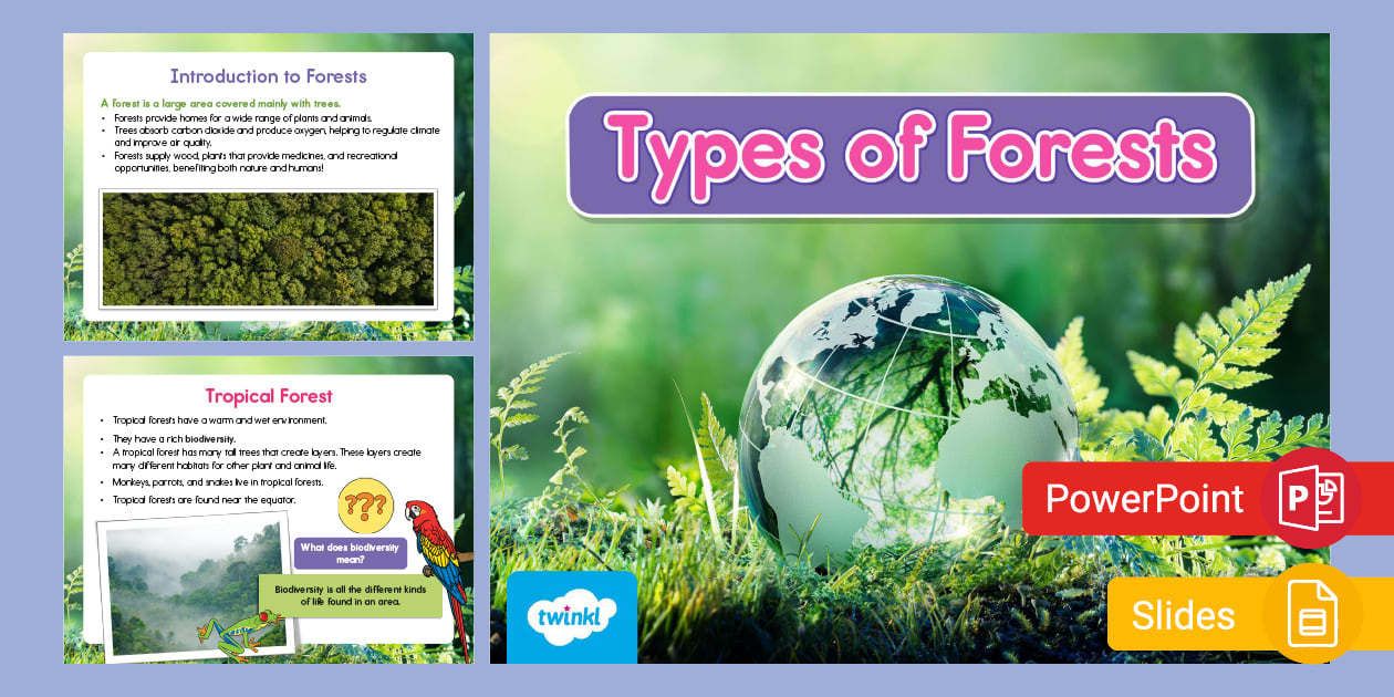 Types of Forests PowerPoint & Google Slides for K-2nd Grade