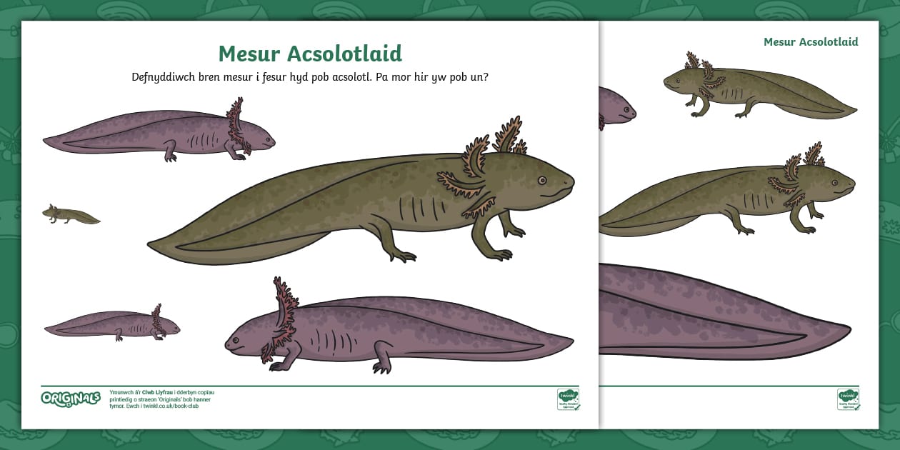 Gweithgaredd Mesur Acsolotlaid