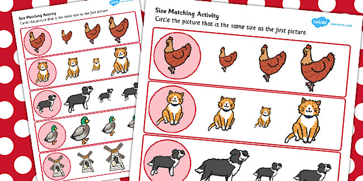 Black and White The Little Red Hen Size Matching Worksheets