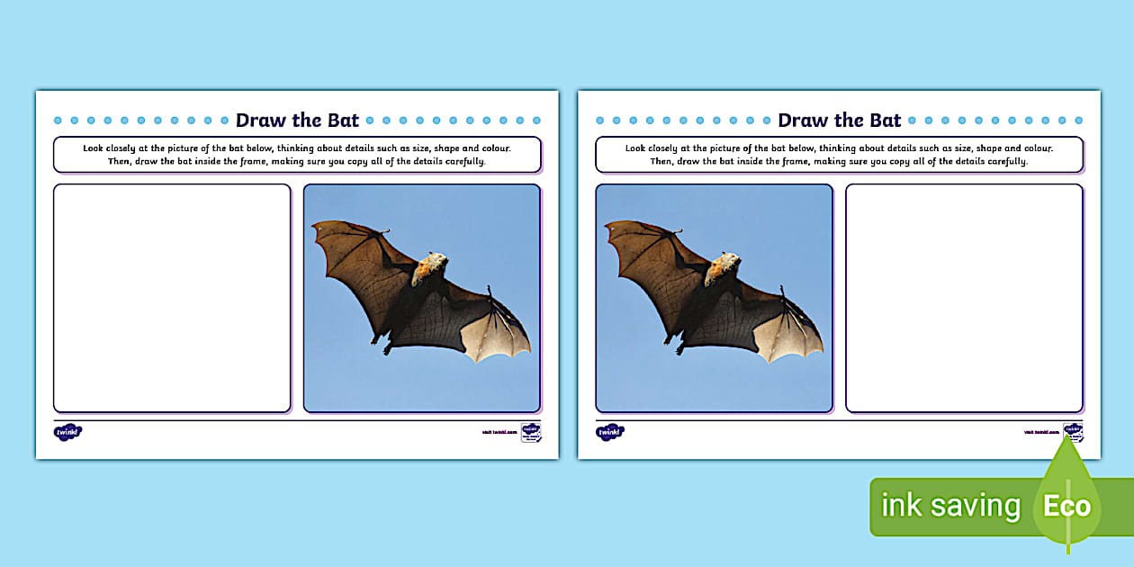 Draw the Bat Art Activity, Bat, bat art (teacher made)